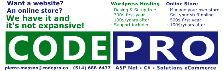 CodePro Consultants Inc.